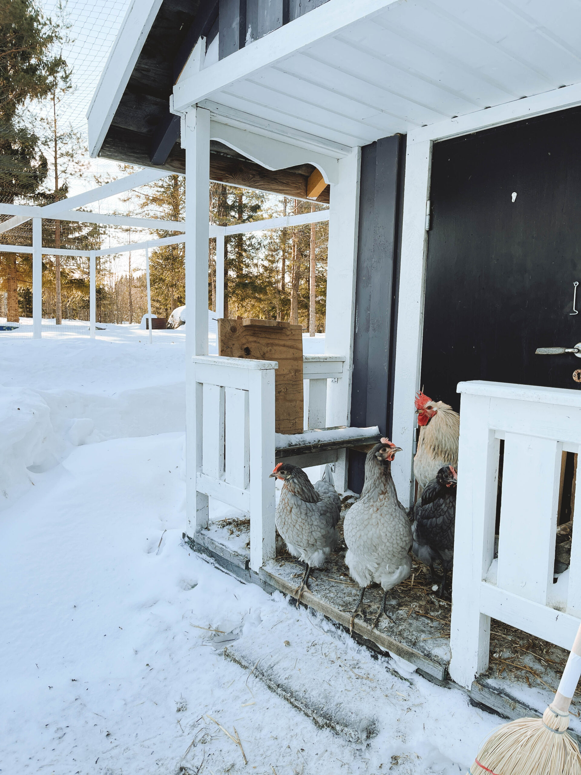 Sjutton bilder från februari - La Linda